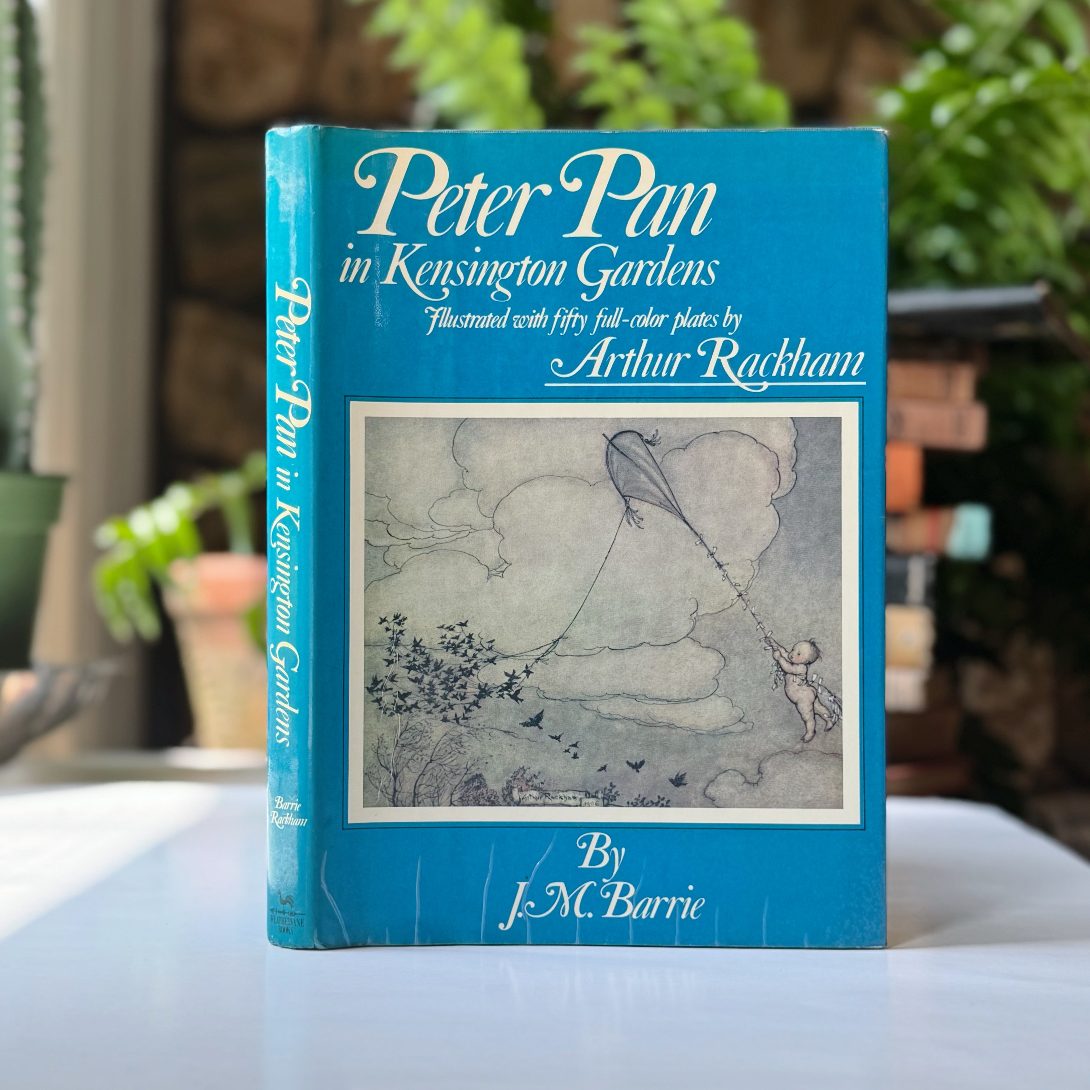 Peter Pan in Kensington Gardens, J.M. Barrie, Arthur Rackham Illustrat ...