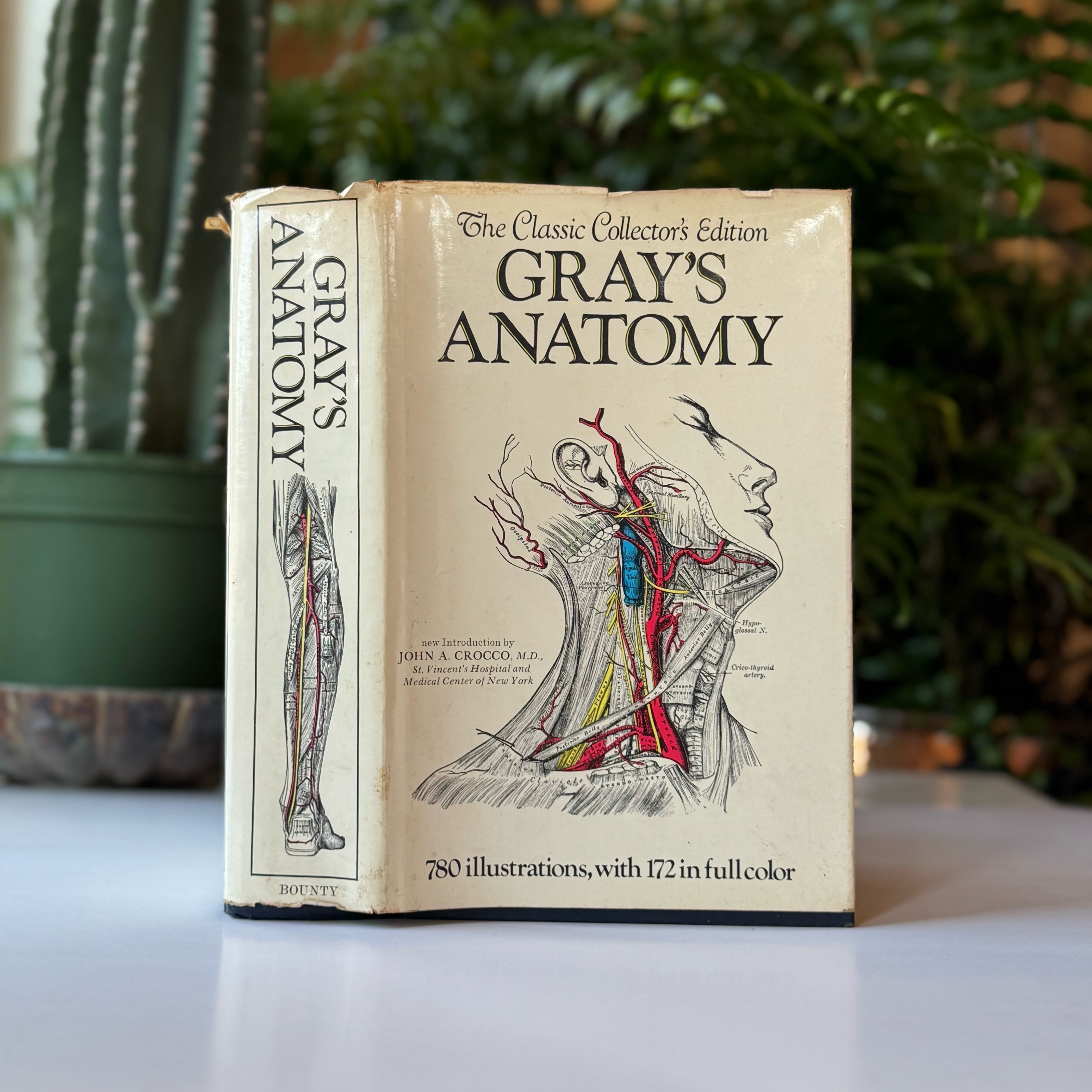 Gray's Anatomy, Classic Collector's Edition, 1977, Hardcover – Pretty ...