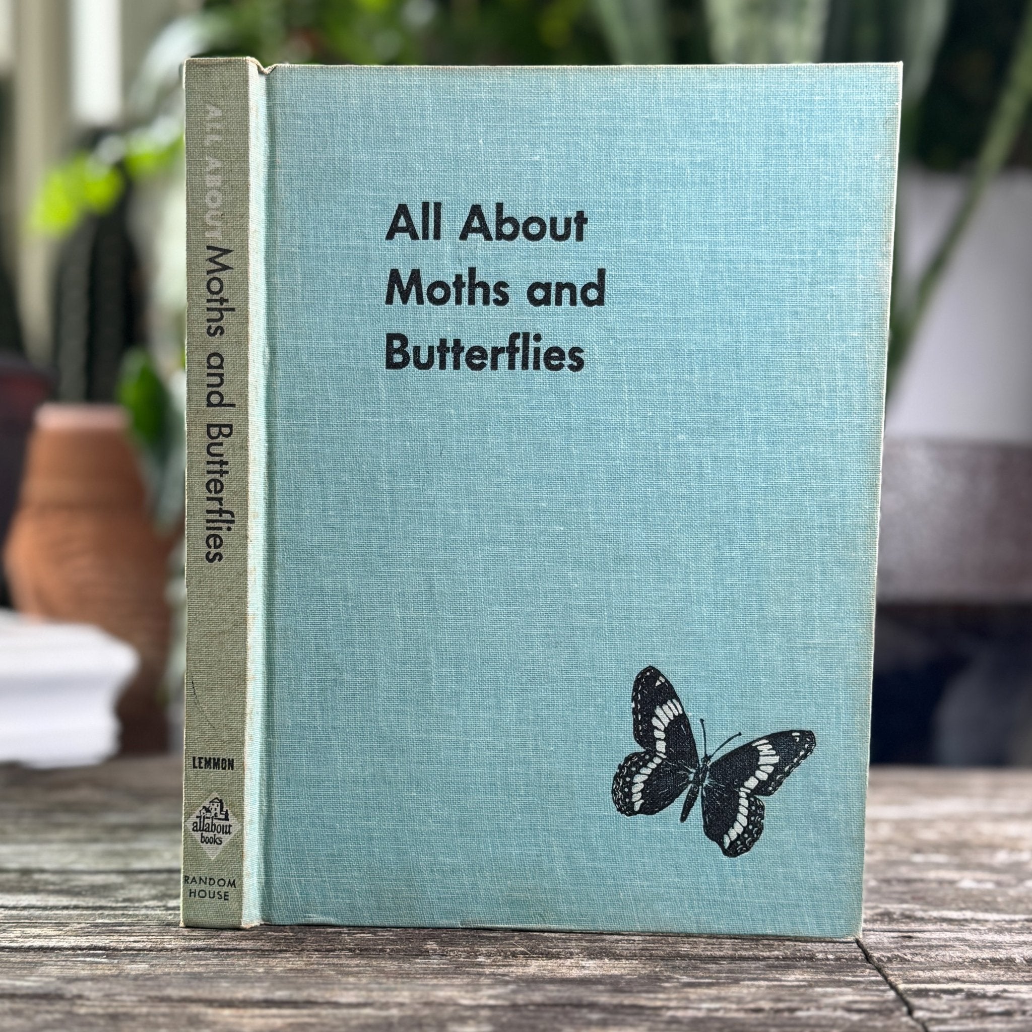 All About Moths and Butterflies 1956 Children's Hardcover Book - Pretty ...