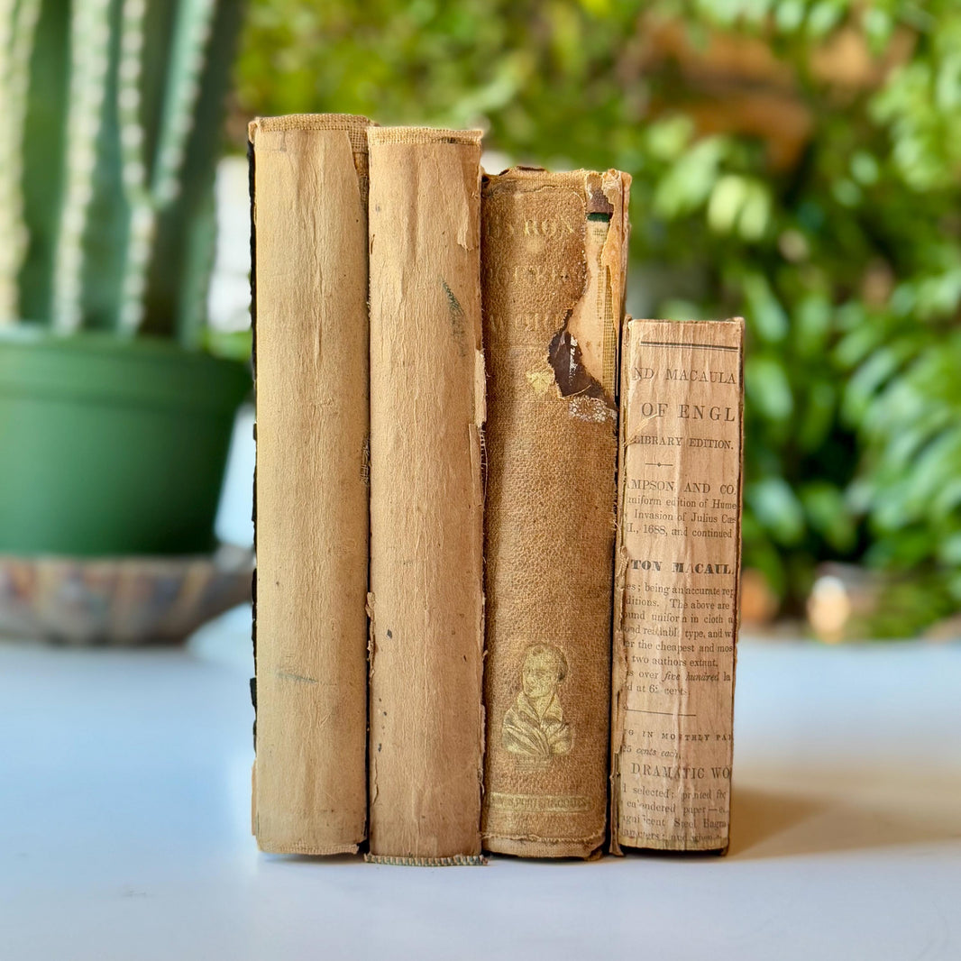 Pretty Old Books - Vintage Books by Color and Collectible Titles