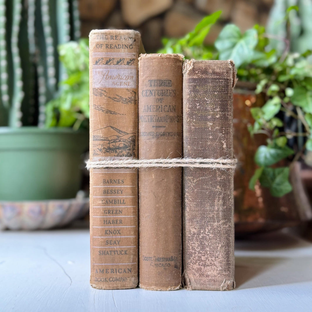 Pretty Old Books - Vintage Books by Color and Collectible Titles
