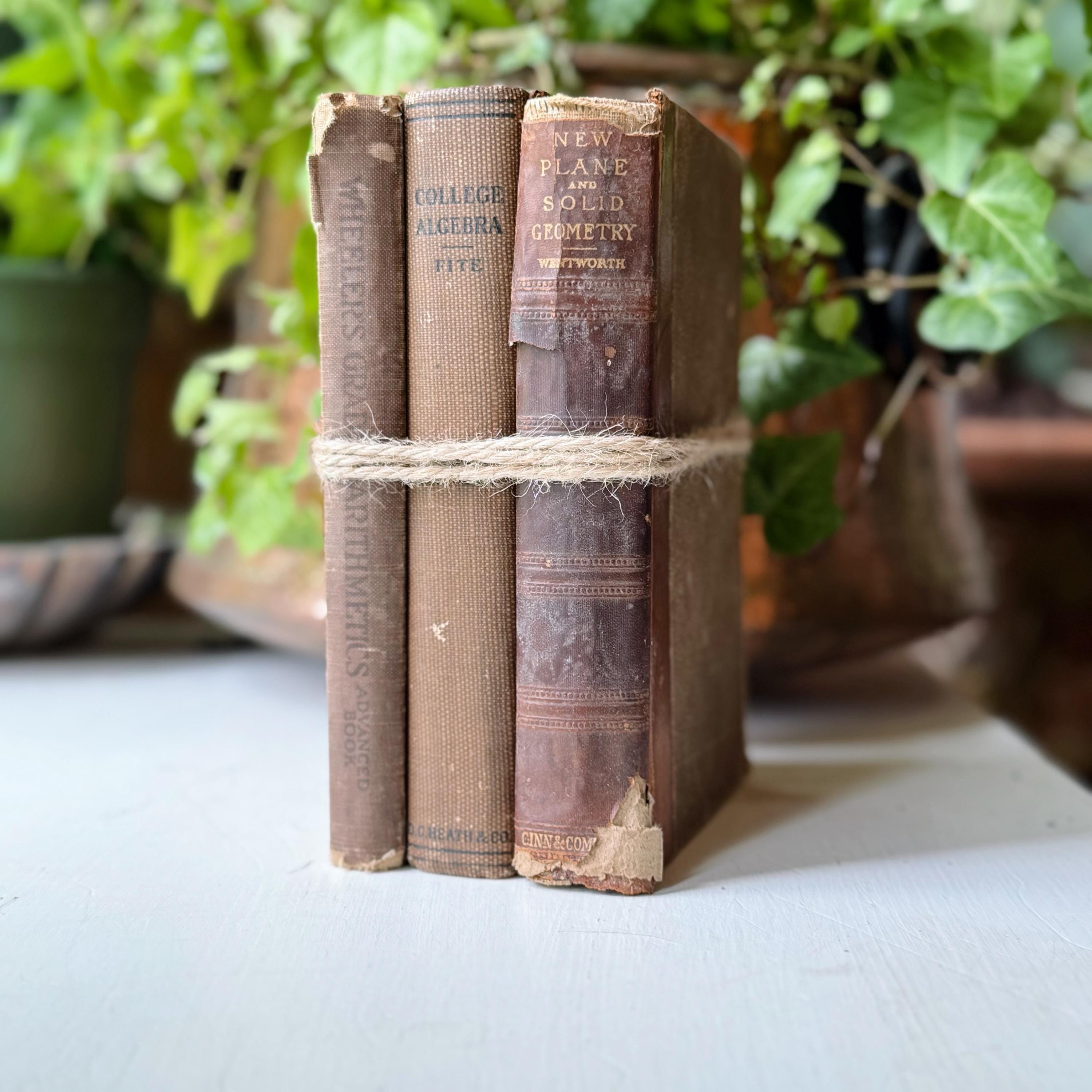 Pretty Old Books - Vintage Books by Color and Collectible Titles