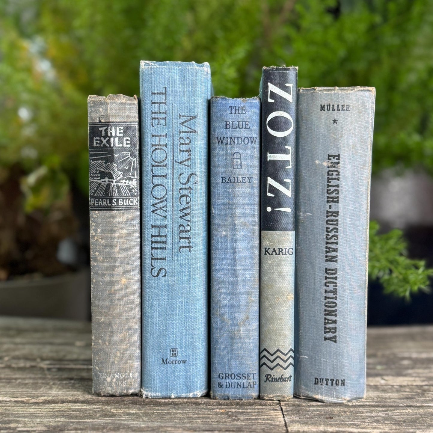 Light Blue and Black Vintage Decorative Book Bundle for Shelf Styling ...
