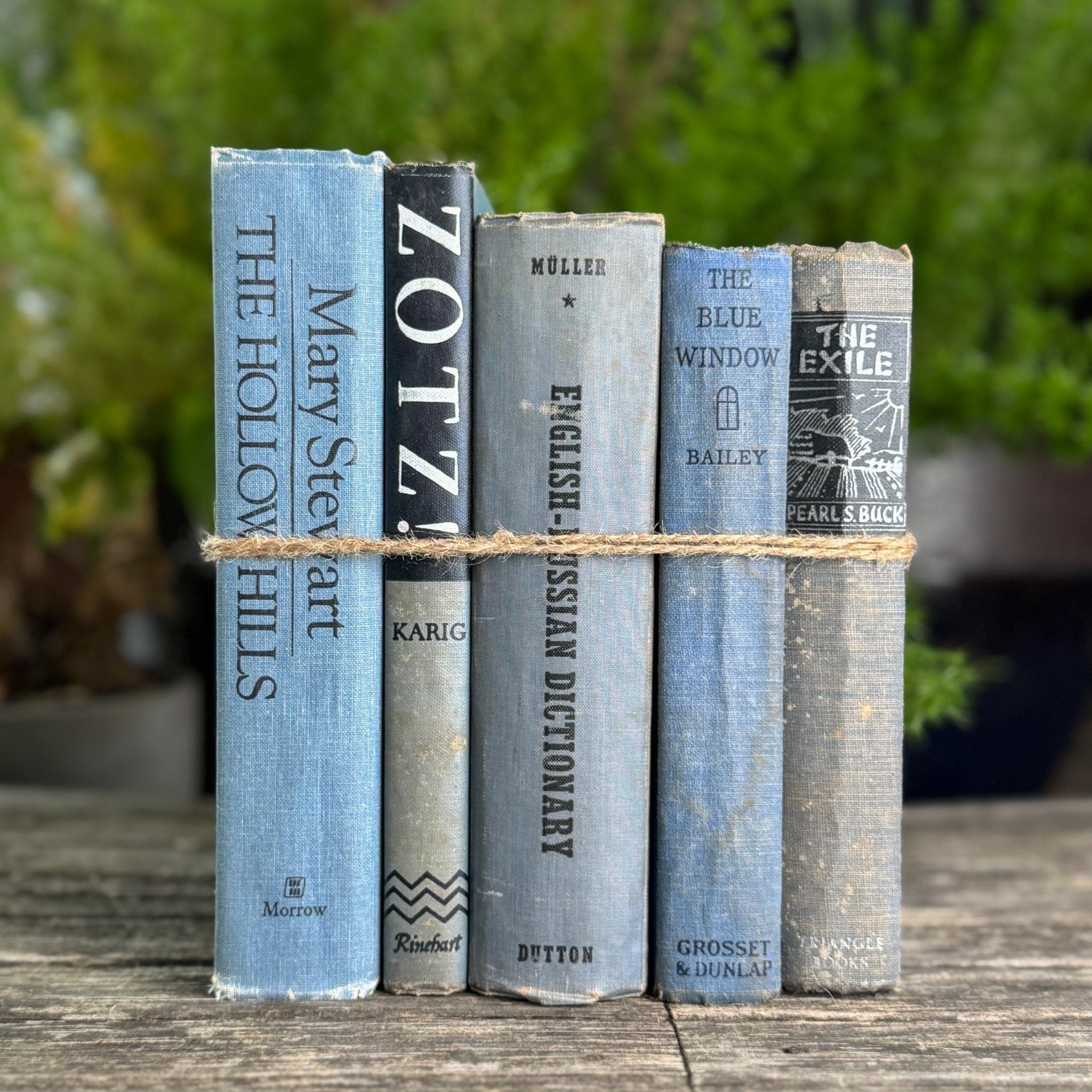 Light Blue and Black Vintage Decorative Book Bundle for Shelf Styling ...