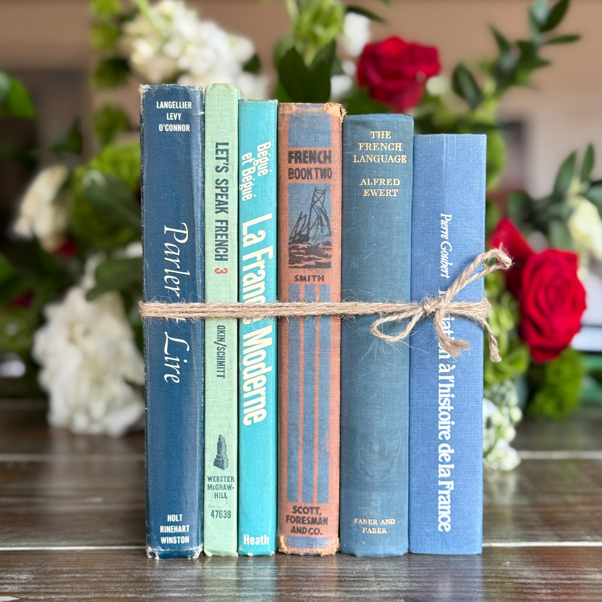 Vintage Blue and Green French Language School Book Bundle - Pretty Old ...