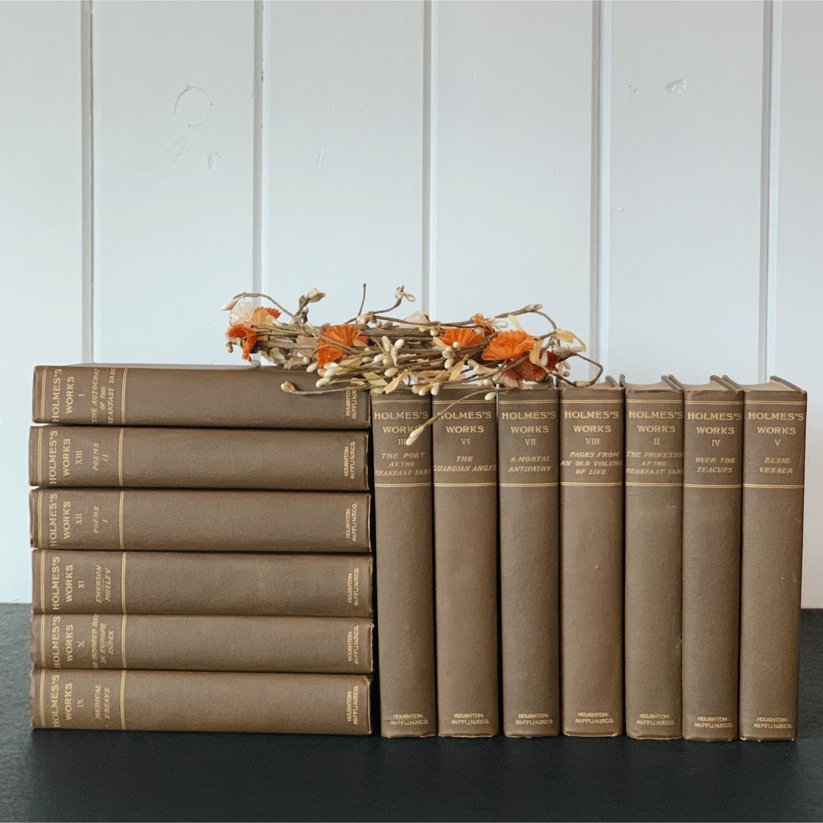 Pretty Old Books - Vintage Books by Color and Collectible Titles